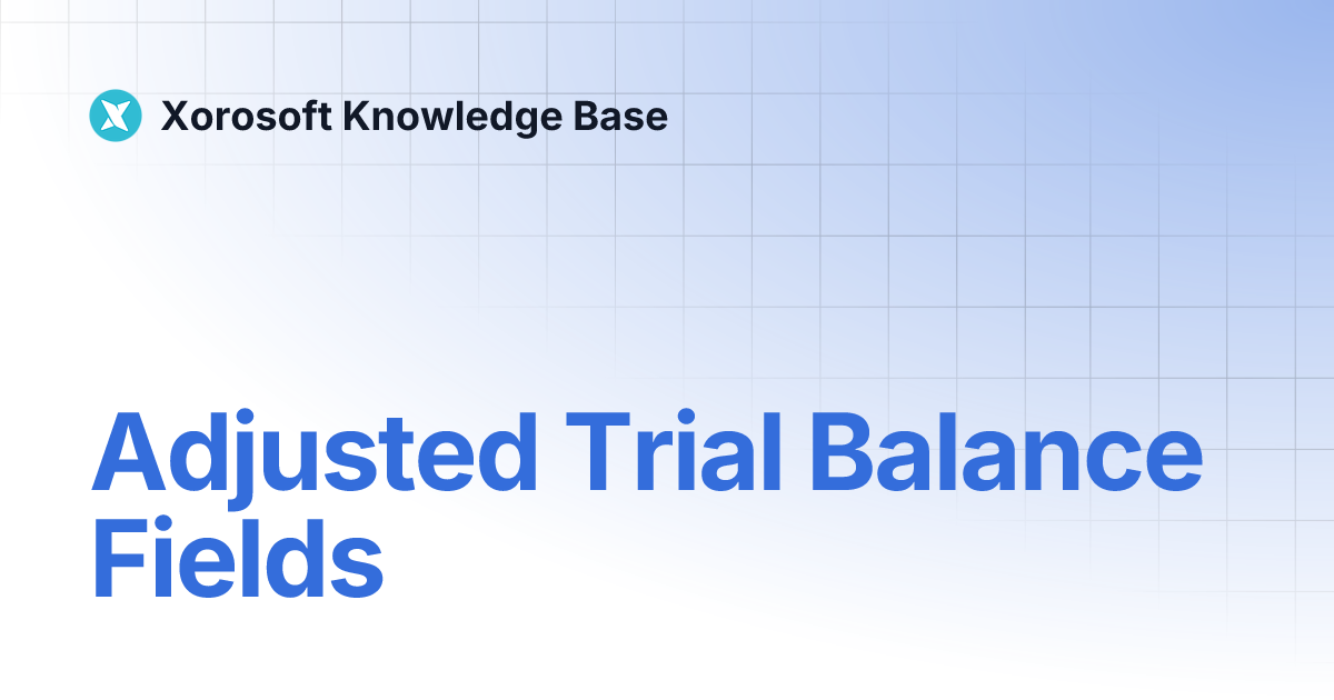 Adjusted Trial Balance Fields | Xorosoft Knowledge Base
